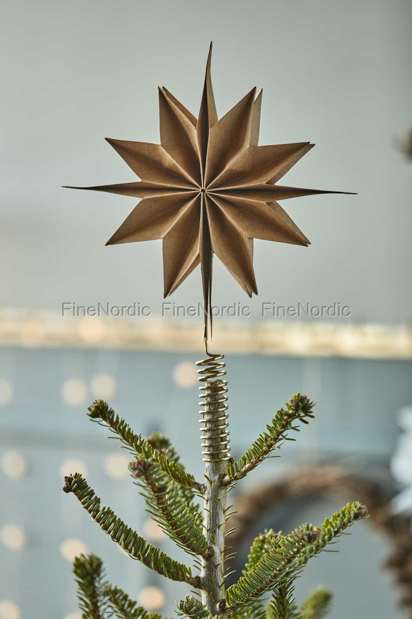 Stella Papir Toppstjerne | Natur | Ib Laursen